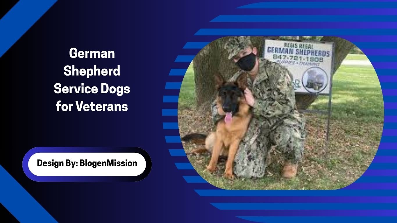 German Shepherd Service Dogs for Veterans - Complete Guide!